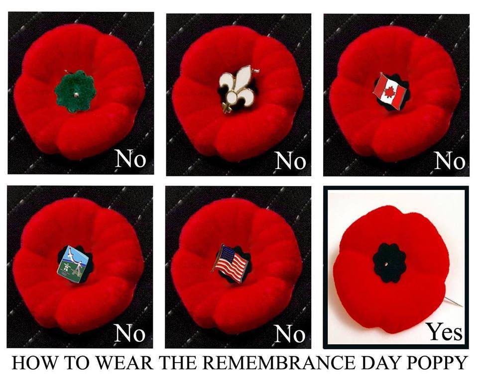 Quick Fix: Advances in Poppy-Wearing Technology - I Choose to Stand